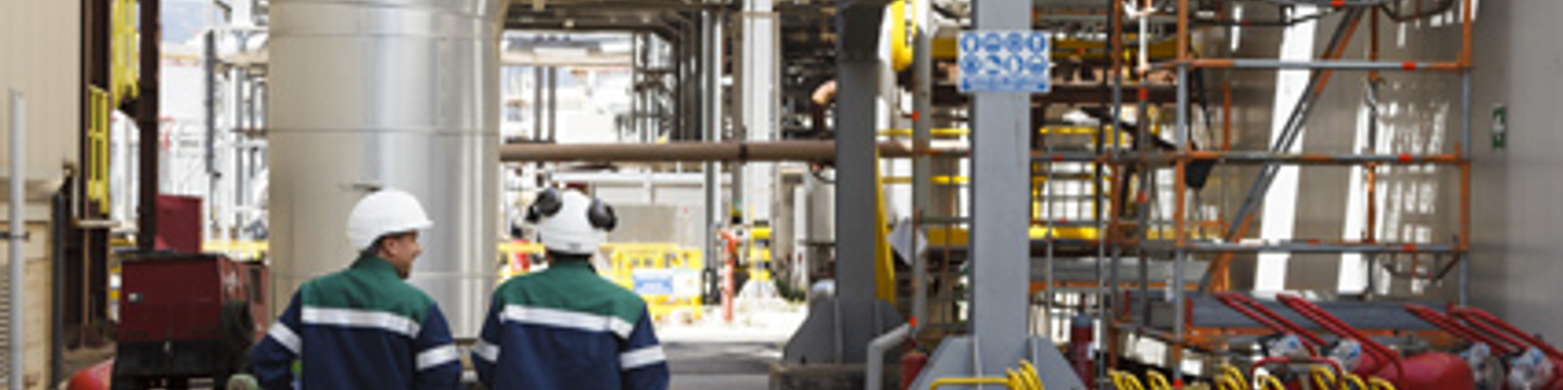 Azioni Blue Chip - Websim